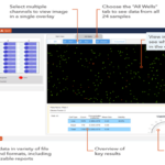 Cellaca MX High-throughput Automated Cell Counter - Biomedical ...